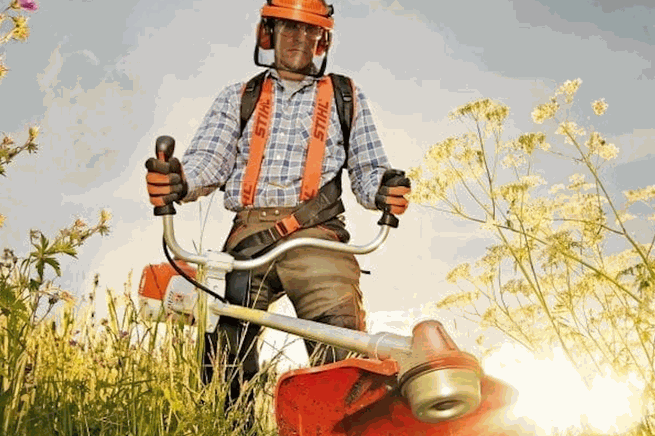 STIHL | Spectrum Plant - Russell's Arb